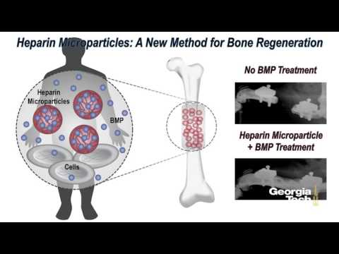 Heparin Microparticles: A New Method for Bone Regeneration