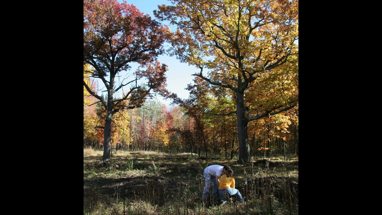 S.7 Ep.4: Down Home Carbon: Climate Solutions from Family Forests