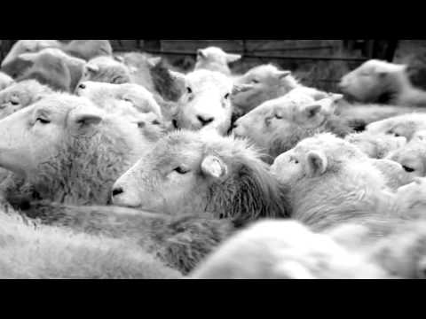 Hefted – Vocabulary in Chunks