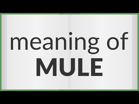 Mule | meaning of Mule