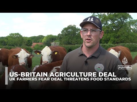UK farmers fear US trade deal threatens food standards and decades of agricultural progress