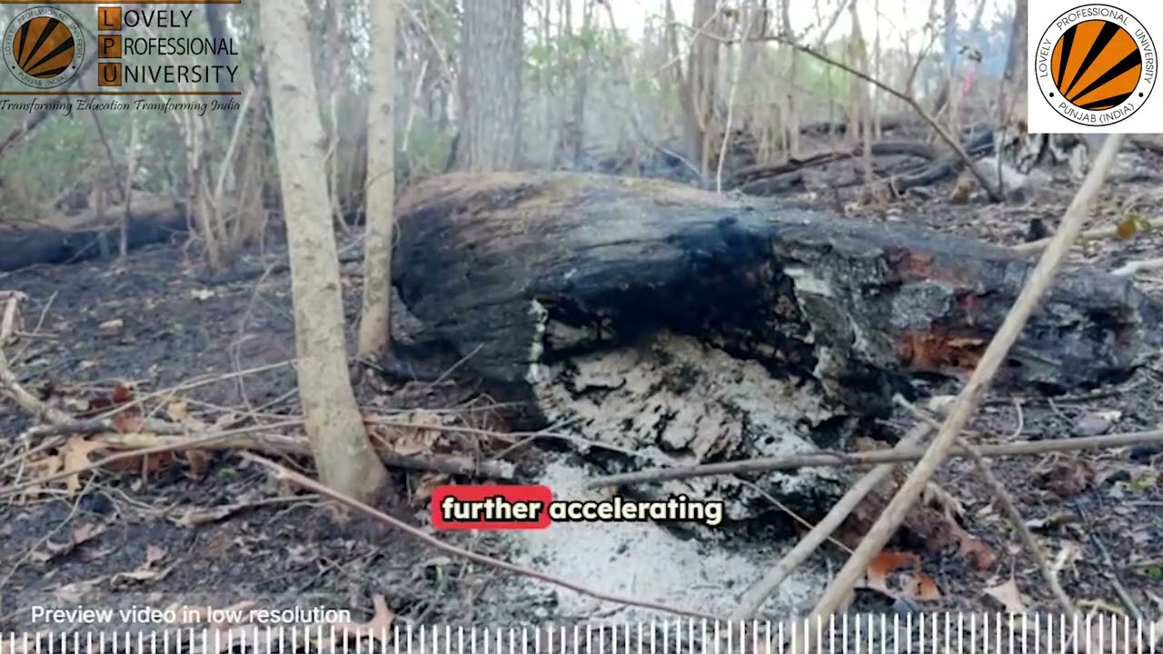 Impact of e waste management : Problem and Solution 