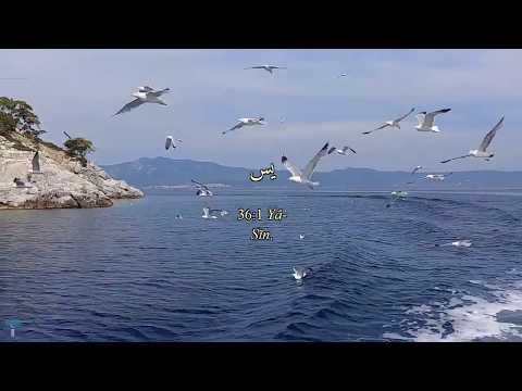 Surah Yasin (36) with Arabic & English text, accompanied by beautiful nature scenery.