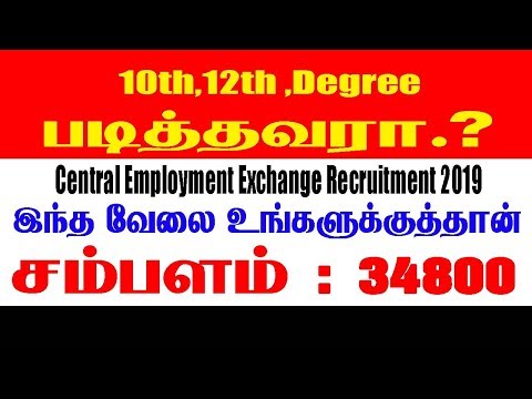 Central Employment Exchange Recruitment | 10th 12th Degree படித்தவரா ? | Let's Know In Tamil