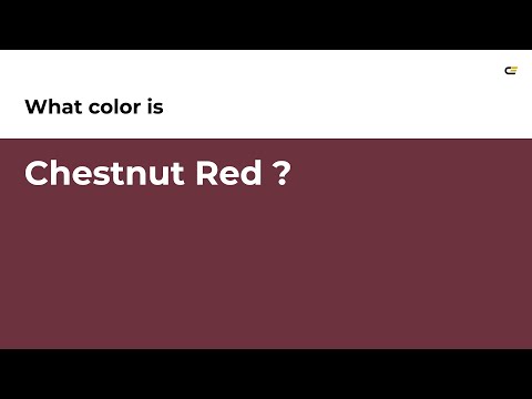 Chestnut Red color #6c333f hex color - Red color - Cool color 6c333f