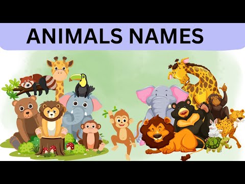 Animal Alphabet Adventure: Animals starting from letter A