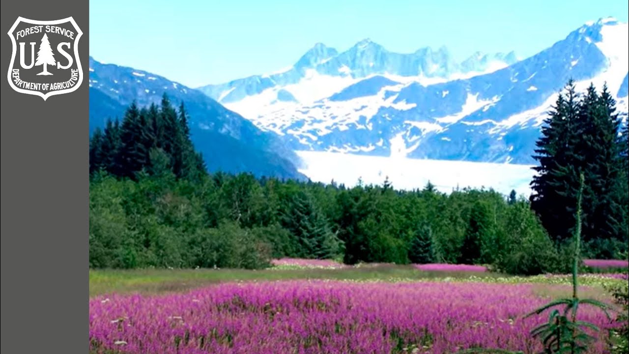 Tongass National Forest: Sustainable Operations
