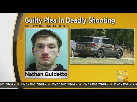 Man pleads guilty to third-degree murder in case involving shooting death of Westmoreland Co. woman