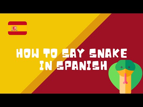 How to say Snake in Spanish | Learn Spanish