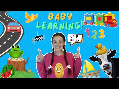 Miss Katie's Baby Learning Compilation - Learn First Words, Animal Names & Sounds + Nursery Rhymes