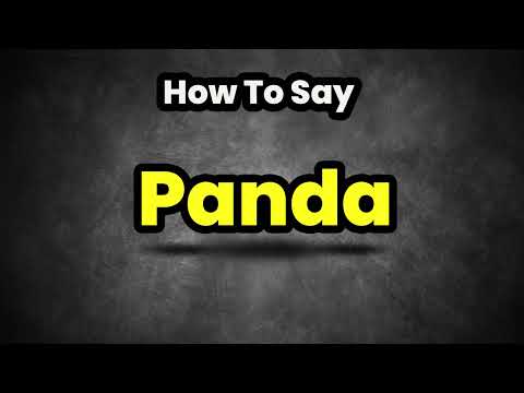 How To Pronounce Panda? (CORRECTLY) Meaning & Pronunciation
