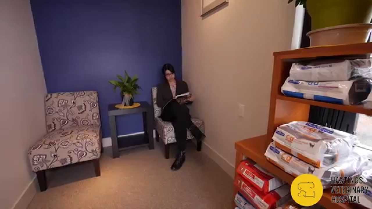 Hastings Vet pet care team video 2014