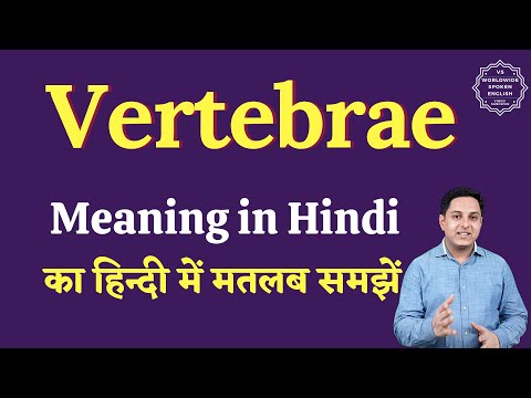 Vertebrae meaning in Hindi | Vertebrae ka matlab kya hota hai | English to hindi