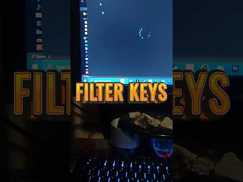 THIS SAVED MY COMPUTER|This Is the 100% Working Method to Fix Filter Keys!