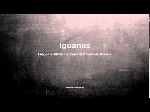 Medical vocabulary: What does Iguanas mean