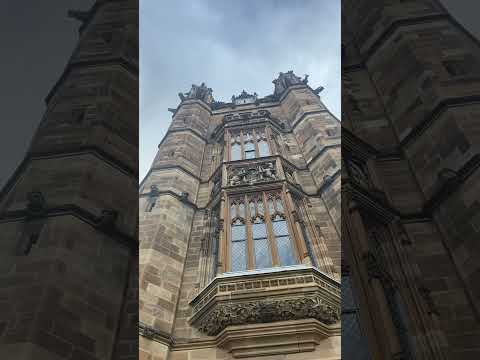 Have you ever been to The University of Sydney? #shorts