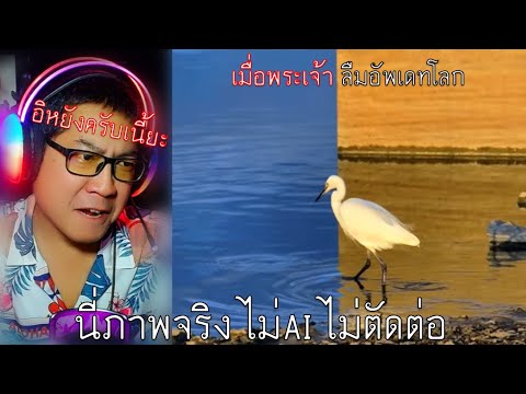 เตียงเนื้อ : Fleshbed Doctor Nowhere Creatures | The Oddity Compendium ...