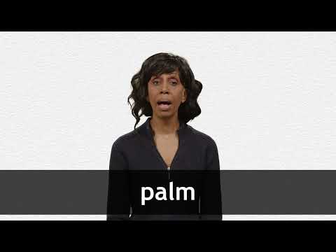 PALM - Definition & Translations | Collins English Dictionary