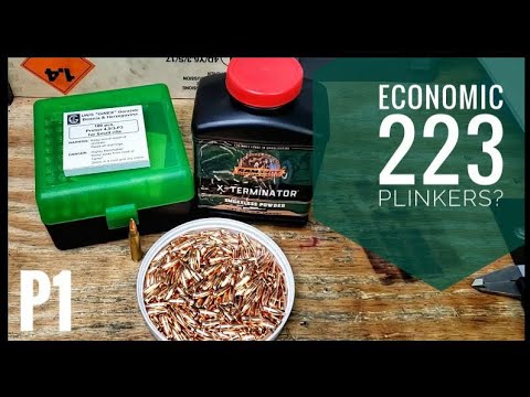 Finding An Economical 223 55gr Plinking Load - Getting Started With Ramshot X-Terminator