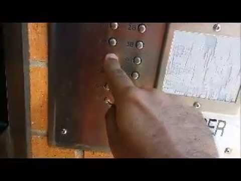 BUZZER NOT WORKING !!!!!!!