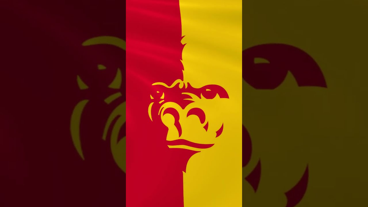Flag of Pittsburg State Gorillas waving in the wind
