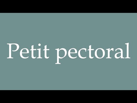 How to Pronounce ''Petit pectoral'' (Small pectoral) Correctly in French