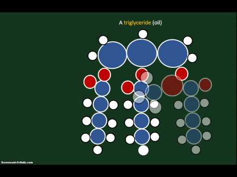 The Process of Transesterification