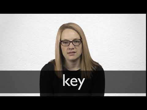KEY definition in American English | Collins English Dictionary