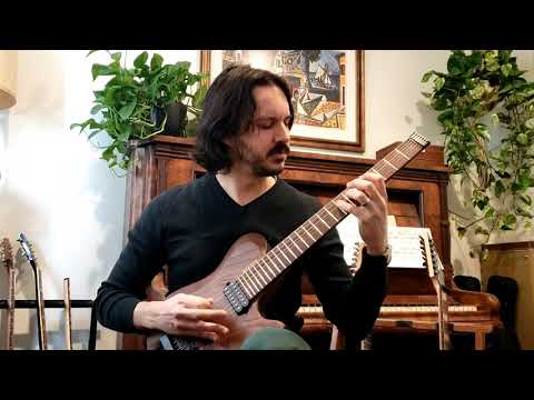 Kiesel Zeus 7 String Z7X 2022 - Raw Tone Ash, Walnut, Select | Reverb