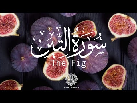 Surah At-Tin | Tamil Translation | Jibril Wahab