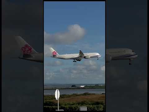 Auckland Airport Scenic lookout #auckland #newzealand