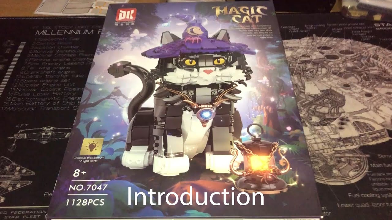 Magic Cat DK Tec Building Brick Set Introduction