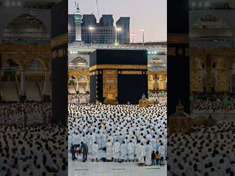 Sahara Chahiye Sarkaar #love #kaba #beautiful
