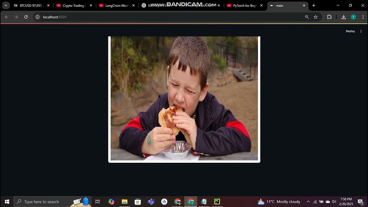 Image Captioning System using CNN & LSTM (Flickr8k Dataset)