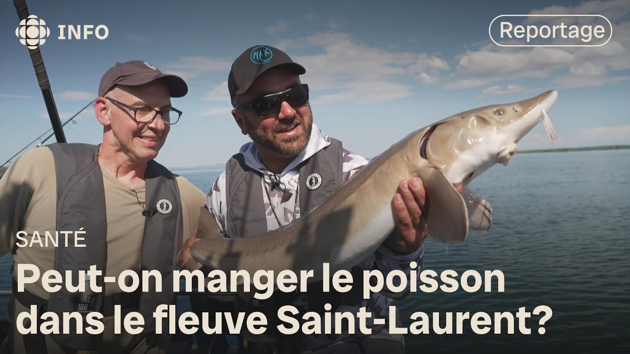 In Quebec, the St. Lawrence River and its fish are doing better