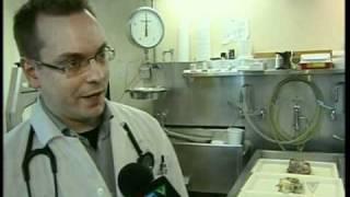 3 Meilleurs Cardiologues à Montréal, QC - Recommandations d'Experts