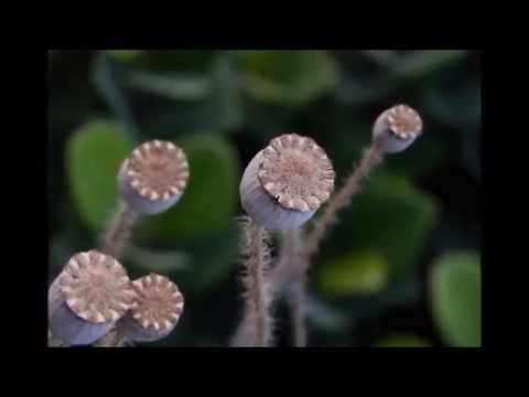 MIT Moradabad - Admission 2026, Fees, Courses, Placement, Ranking