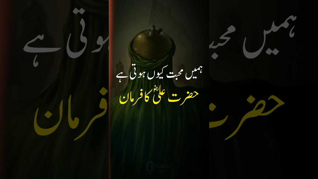 Hazrat Ali Quotes | Hamain Mohabbat Kyun Hoti Hai | Golden Words | Islamic Whatsapp Status | #shorts