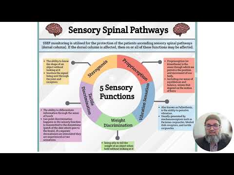 SSEP sensations