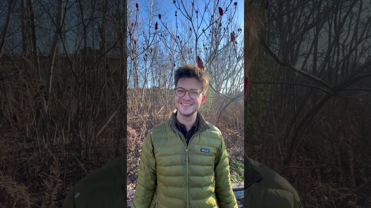 Live Staking Tutorial