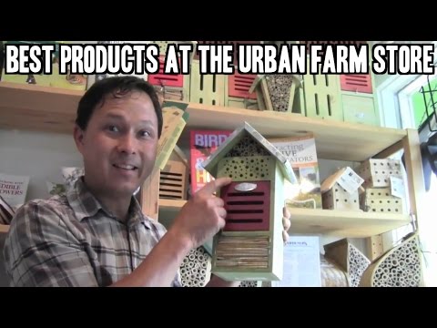Best Products for Growing Food at the Eggplant Urban Farm Store