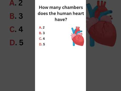 How many chambers does the human heart have? #quiz #gkquiz #education #gk #shorts #shortsfeed