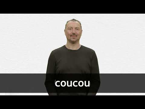 English Translation of “COUCOU” | Collins French-English Dictionary