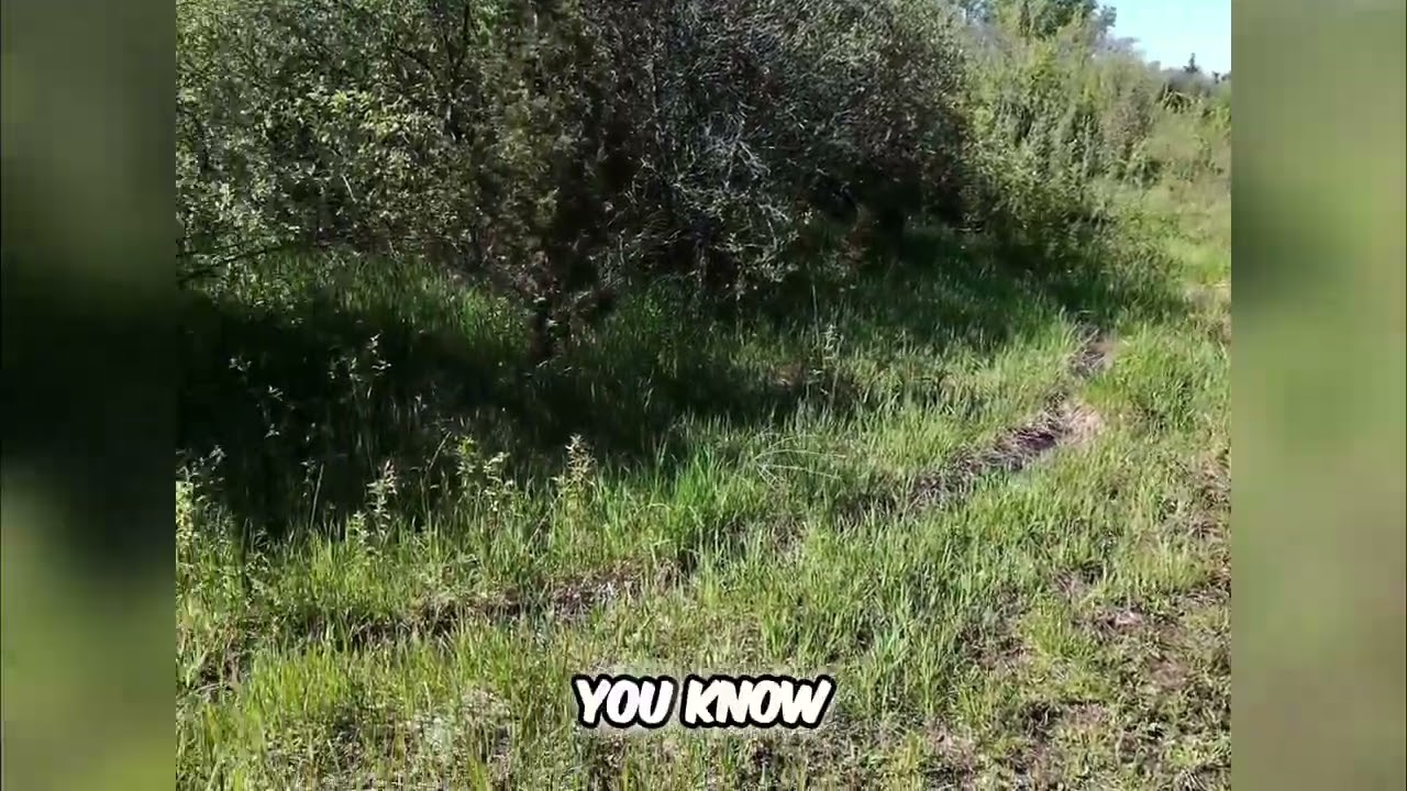 Hidden Nature Trail Exploration & Safety Tips!