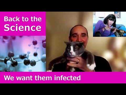 Contrarian doctors putting fame above lives (with Dr Jonathan Howard MD ...