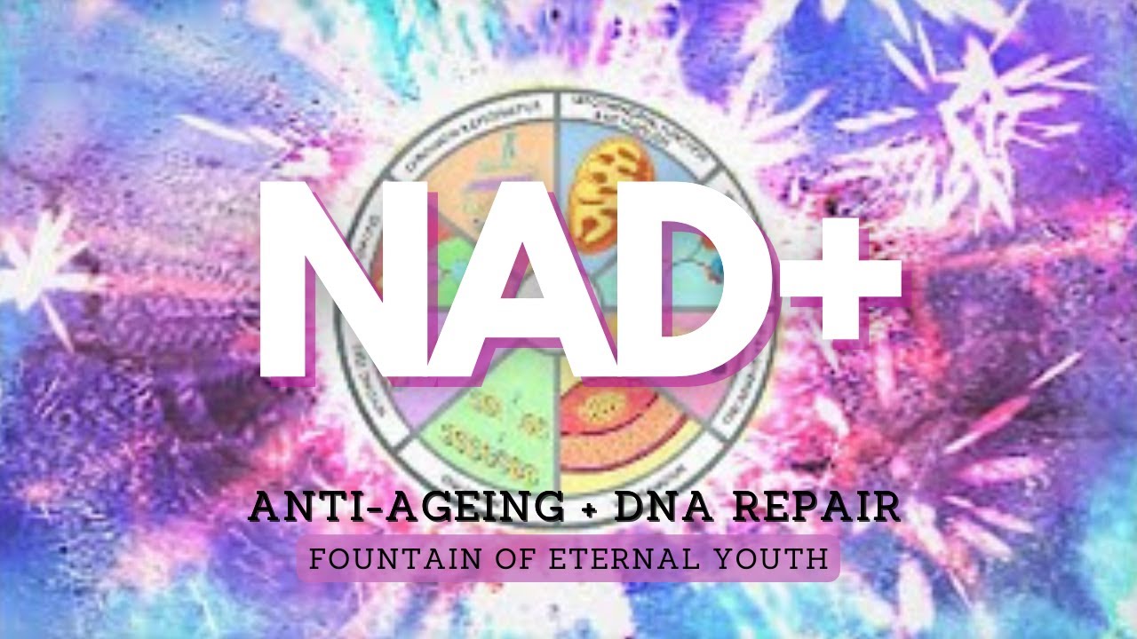 ❋ Powerful NAD+ ~ Anti-Ageing + DNA Repair ~ Fountain of Eternal Youth ~ Gentle Rain Sounds