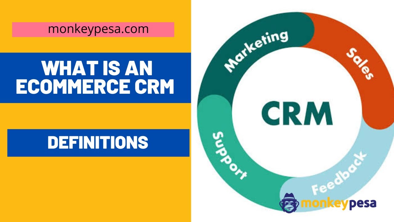 What is an Ecommerce CRM (definitions and examples)