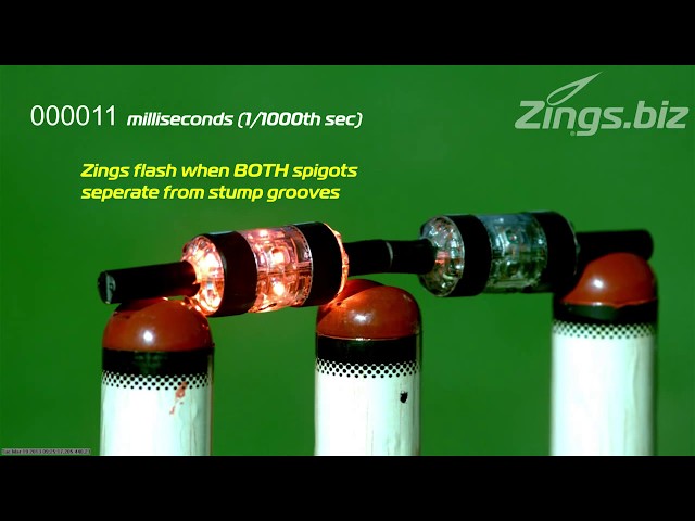 10 things that you should know about LED Zing bails