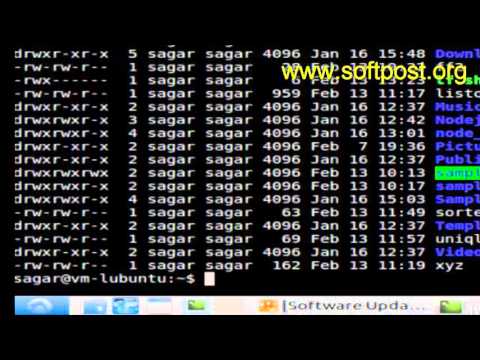 chmod command in Mac OS X Terminal