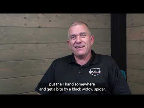 Premium Termite & Pest Control: Keeping Your Family And Home Safe